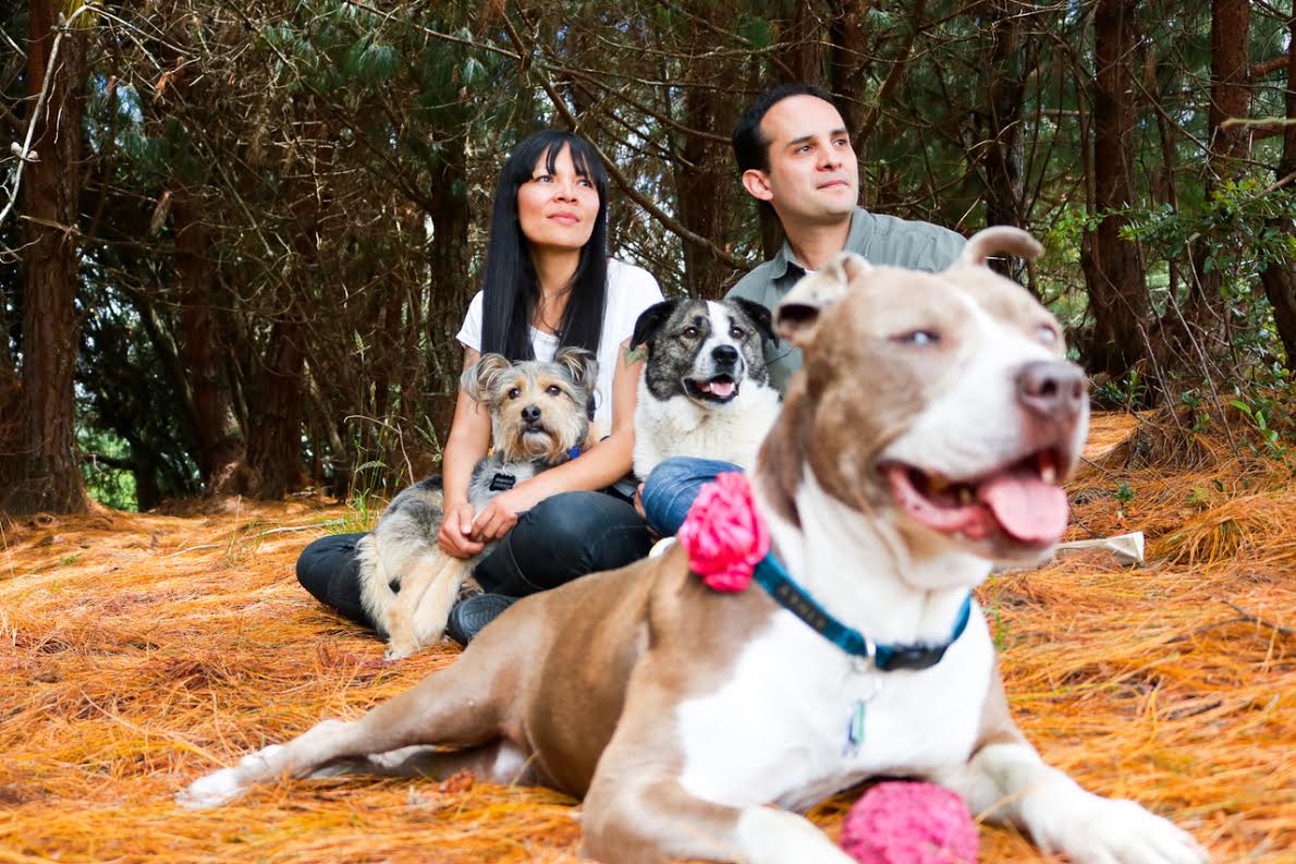 A otro perro con ese hueso, el canal digital de las mascotas